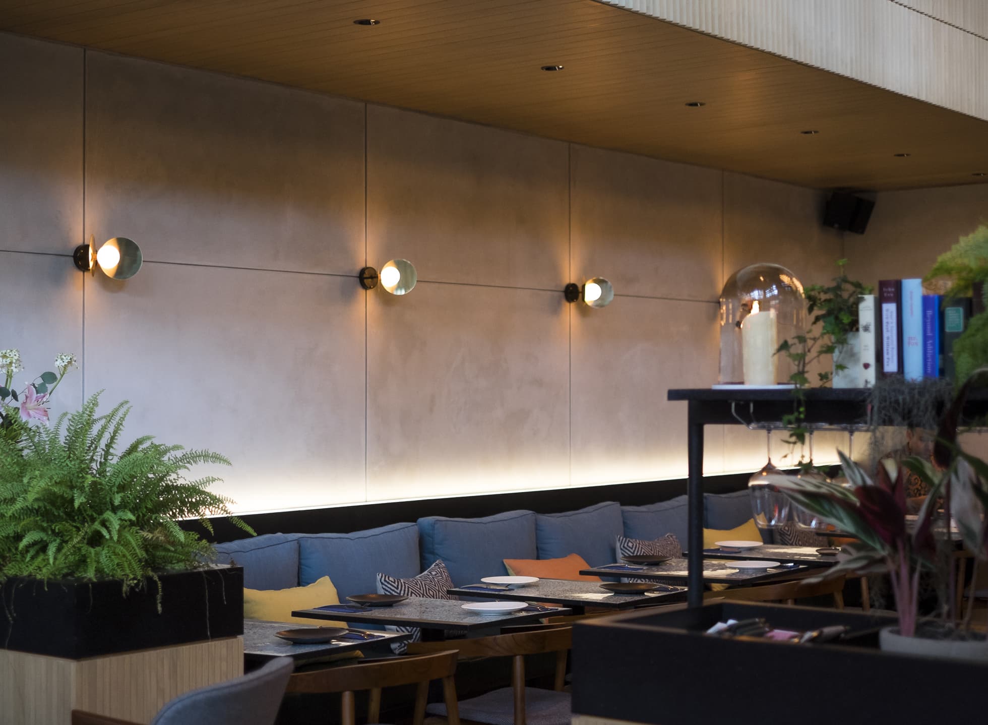 Hey There, Mr. Fox - Manual Jakarta