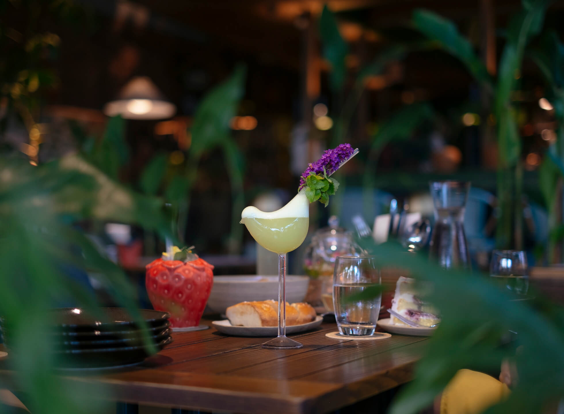 Social Garden - Manual Jakarta