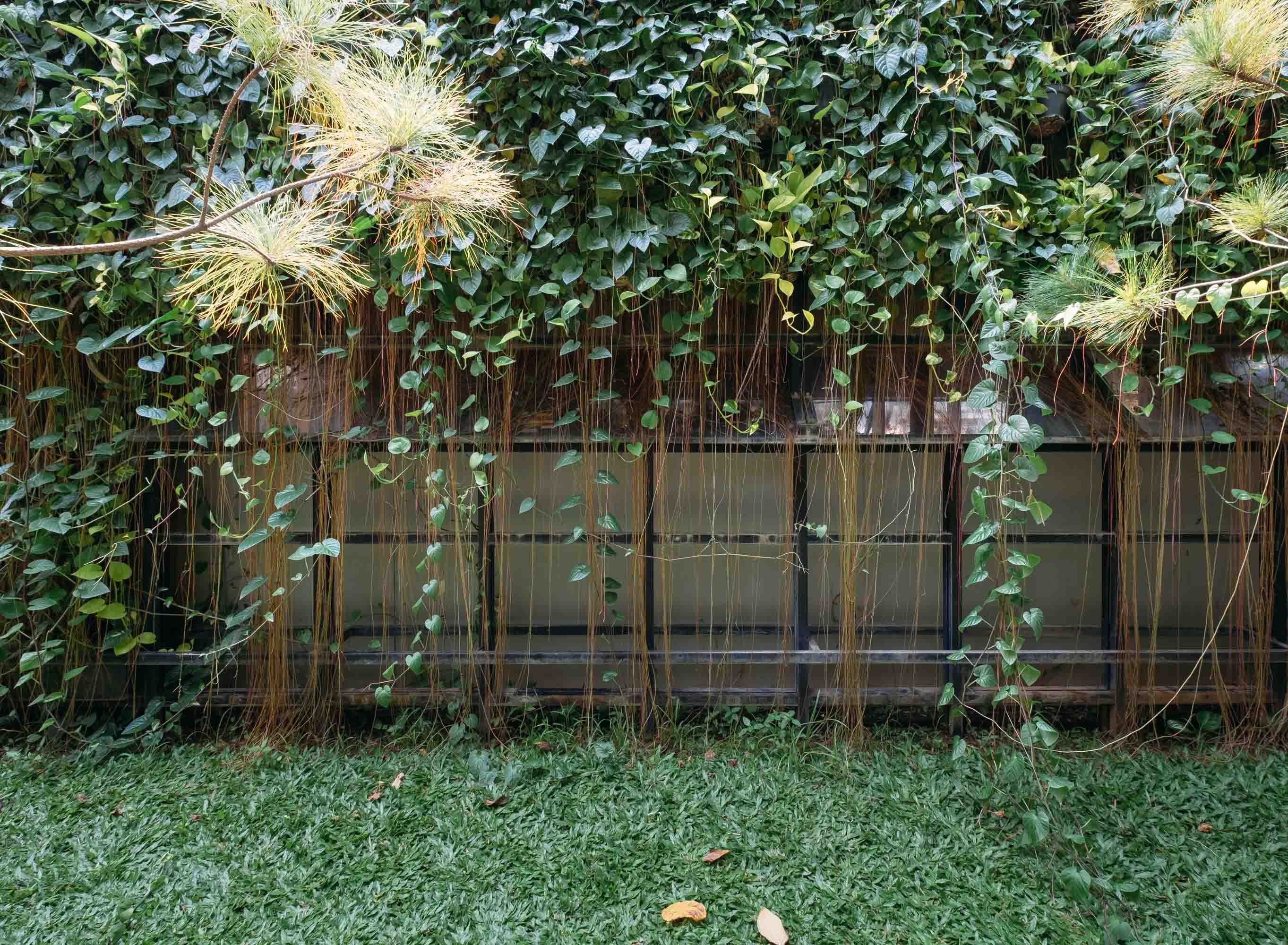 A Look into OMAH Library - Manual Jakarta