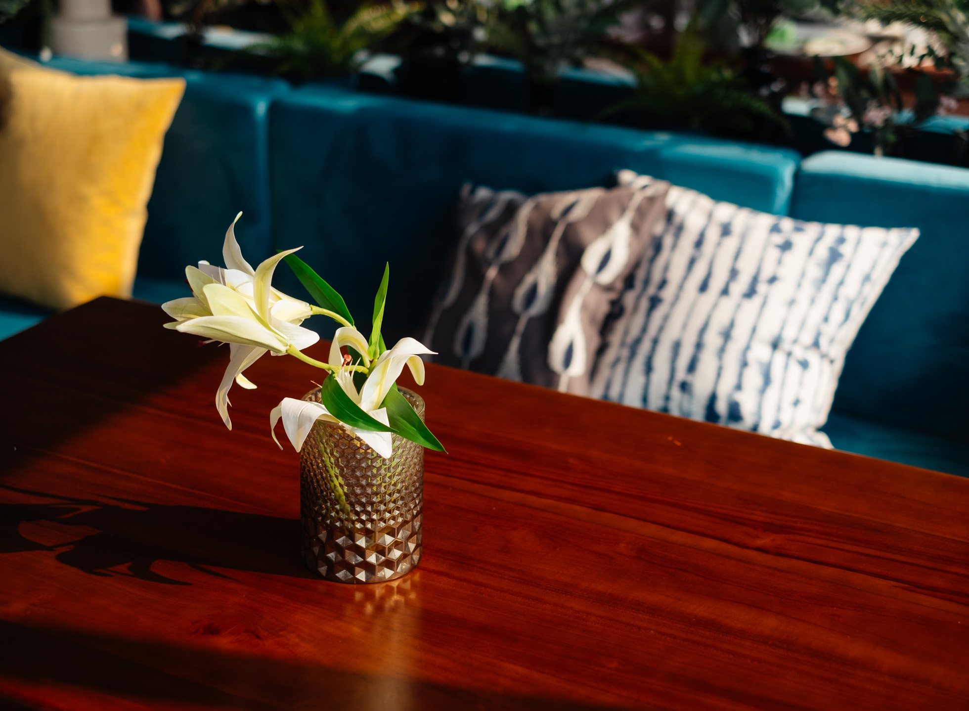 The Forest - Manual Jakarta