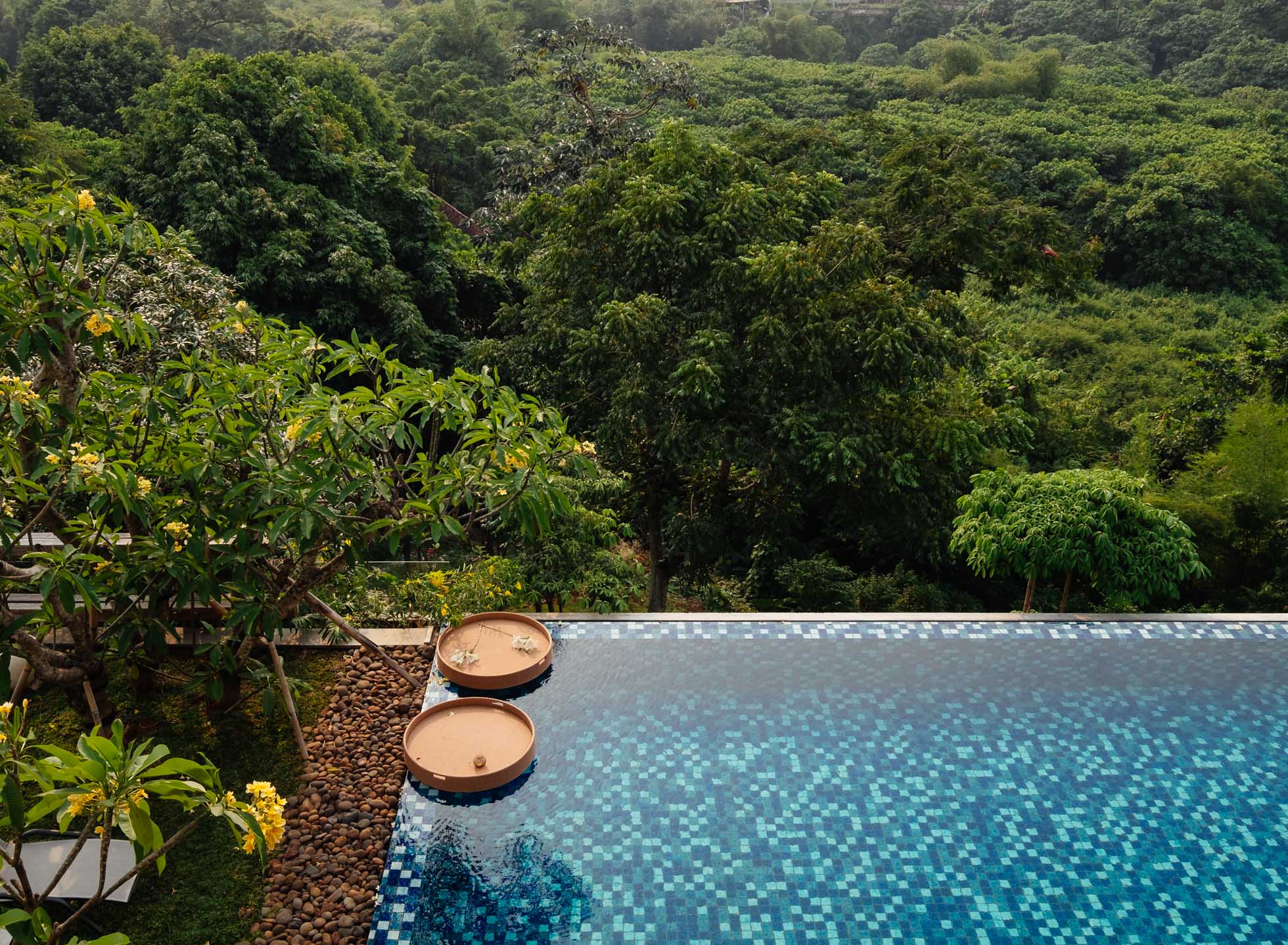 Escaping to The Forest - Manual Jakarta