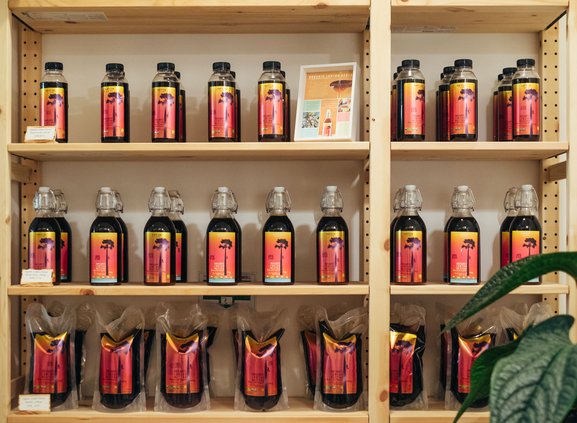 Lewi's Organics - Manual Jakarta