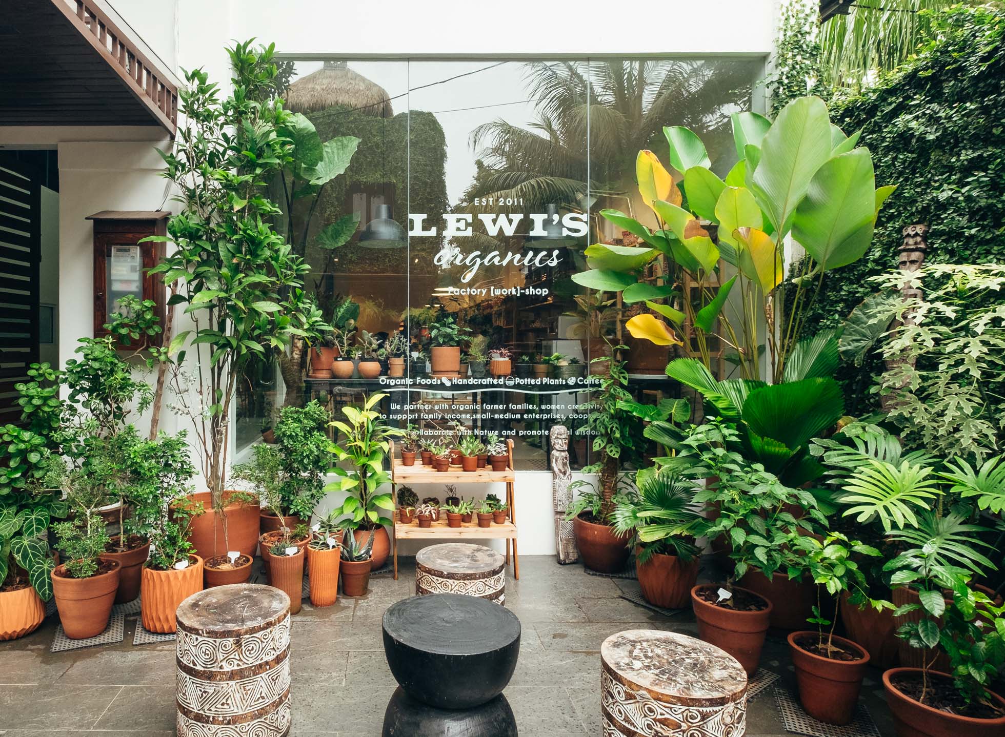 One-stop Shopping at Lewi's Organics - Manual Jakarta