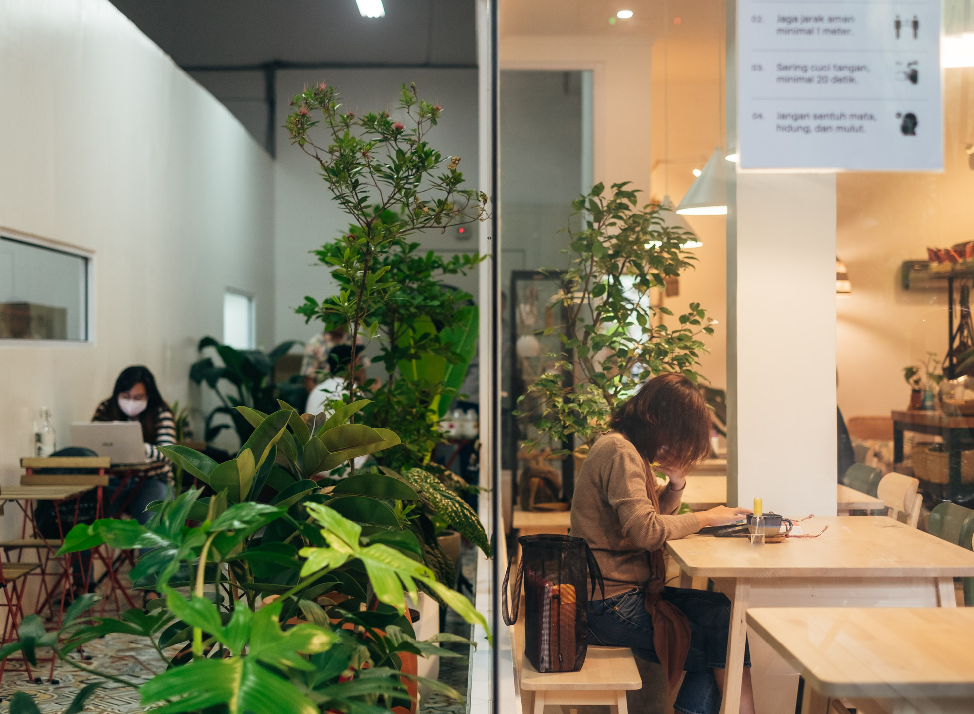 Lewi's Organics - Manual Jakarta