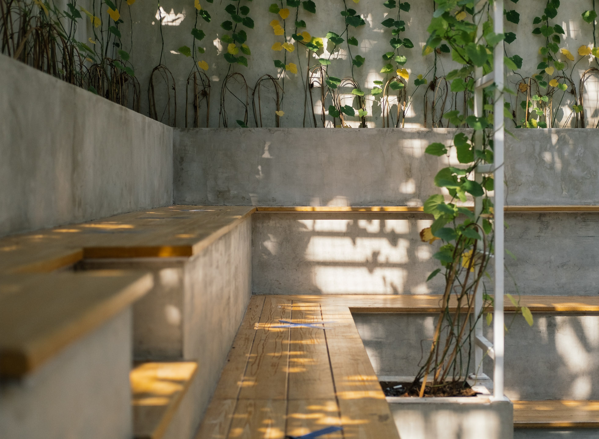 Dopa Coffee Studio - Manual Jakarta