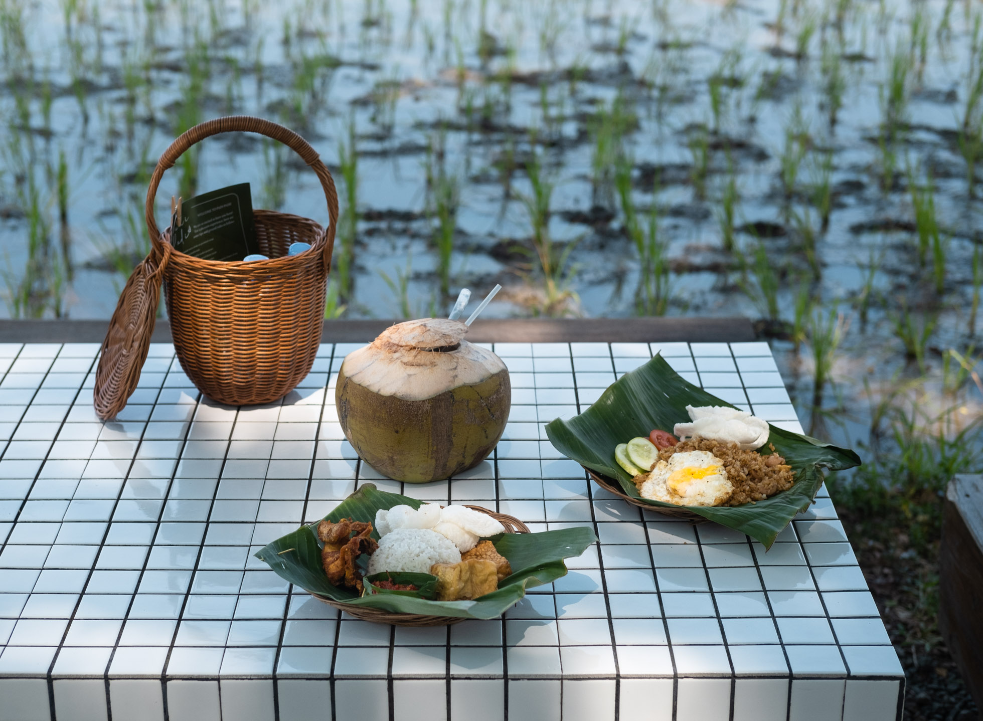 Manual Excursion: Padi-Padi - Manual Jakarta