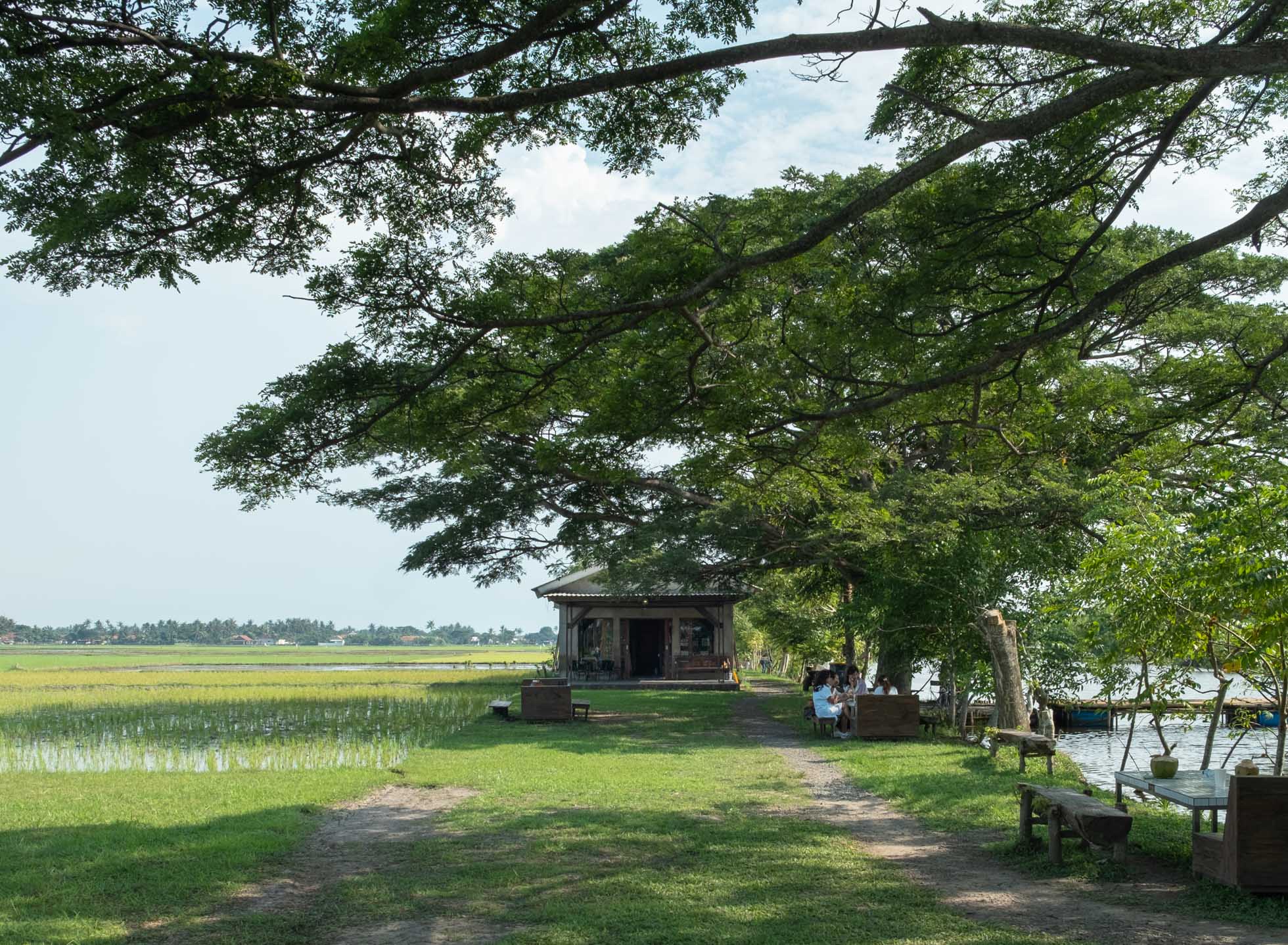 Manual Excursion: Padi-Padi - Manual Jakarta