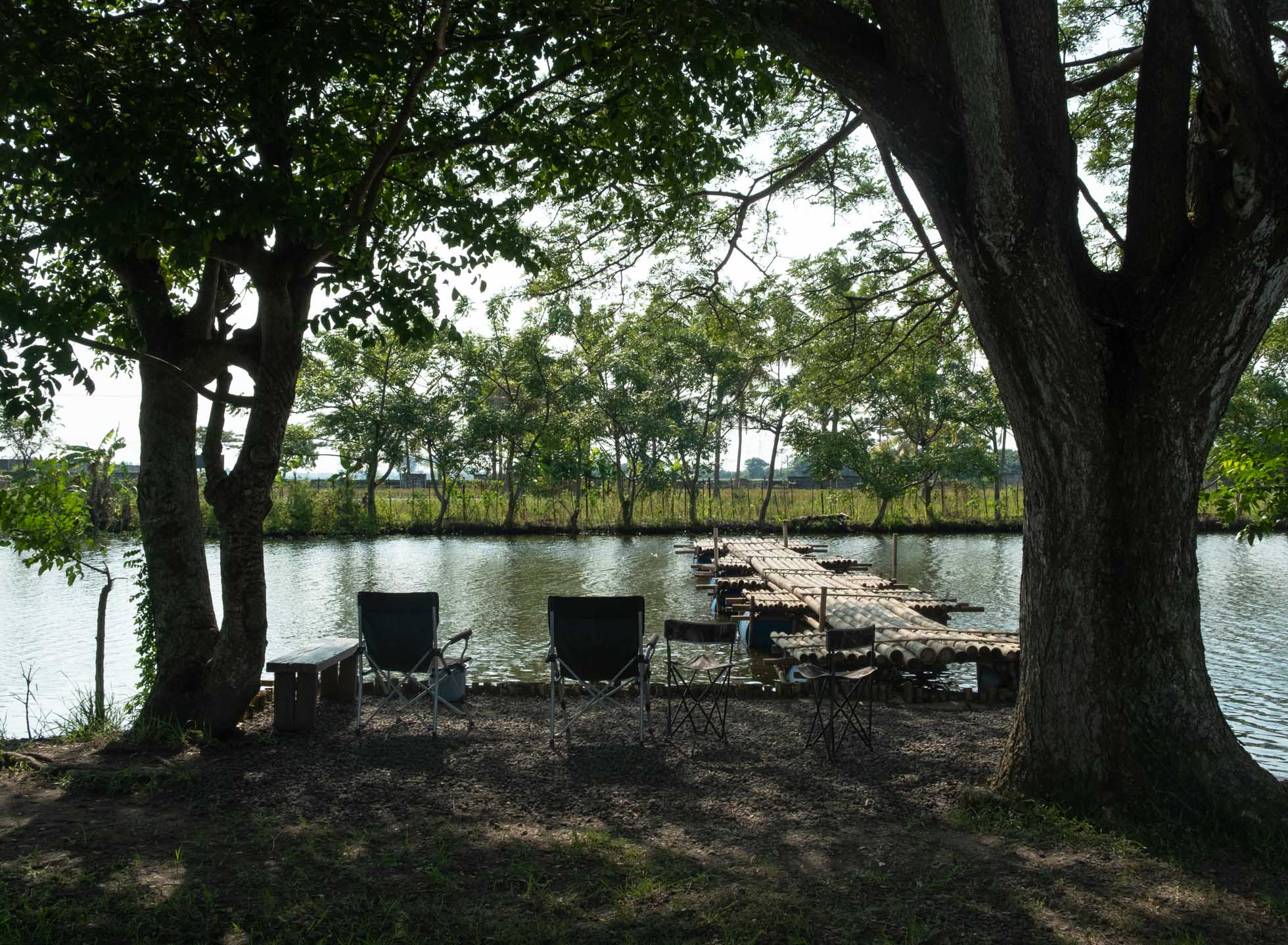 Manual Excursion: Padi-Padi - Manual Jakarta