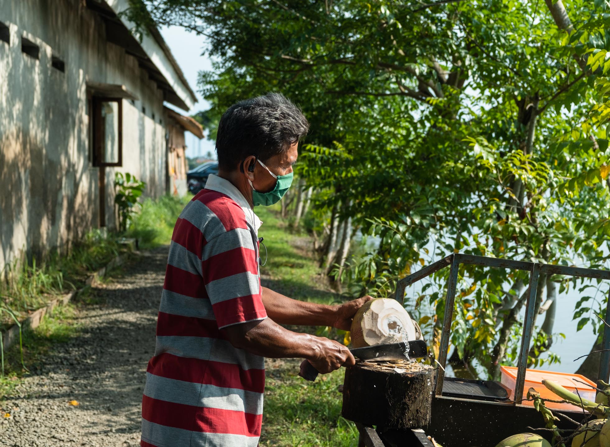 Manual Excursion: Padi-Padi - Manual Jakarta