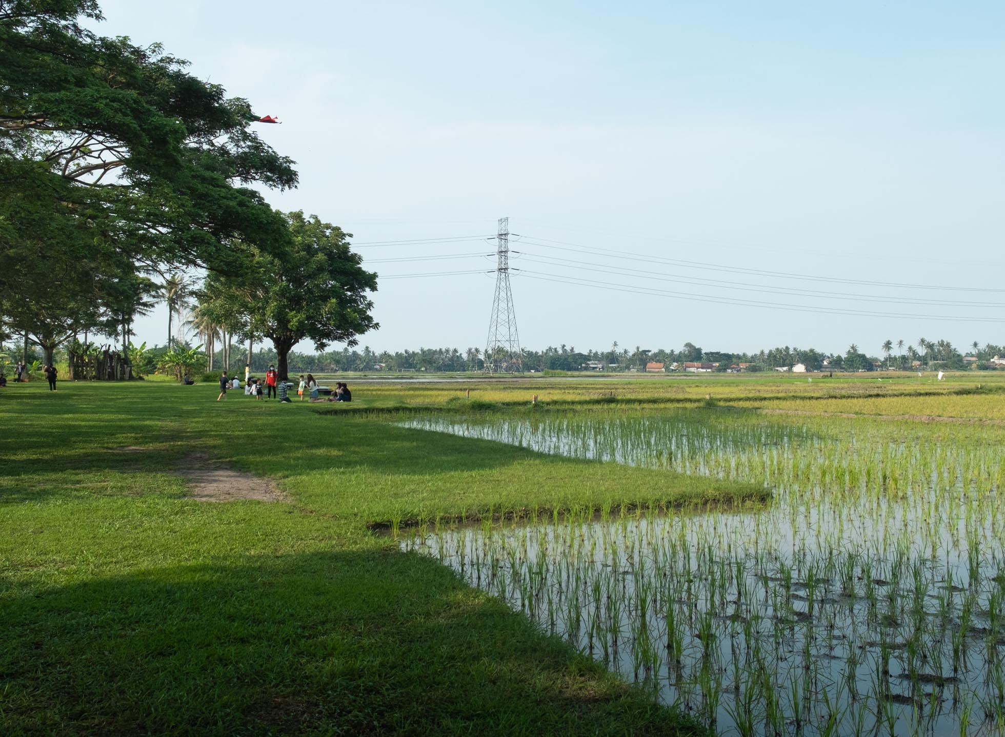 Manual Excursion: Padi-Padi - Manual Jakarta