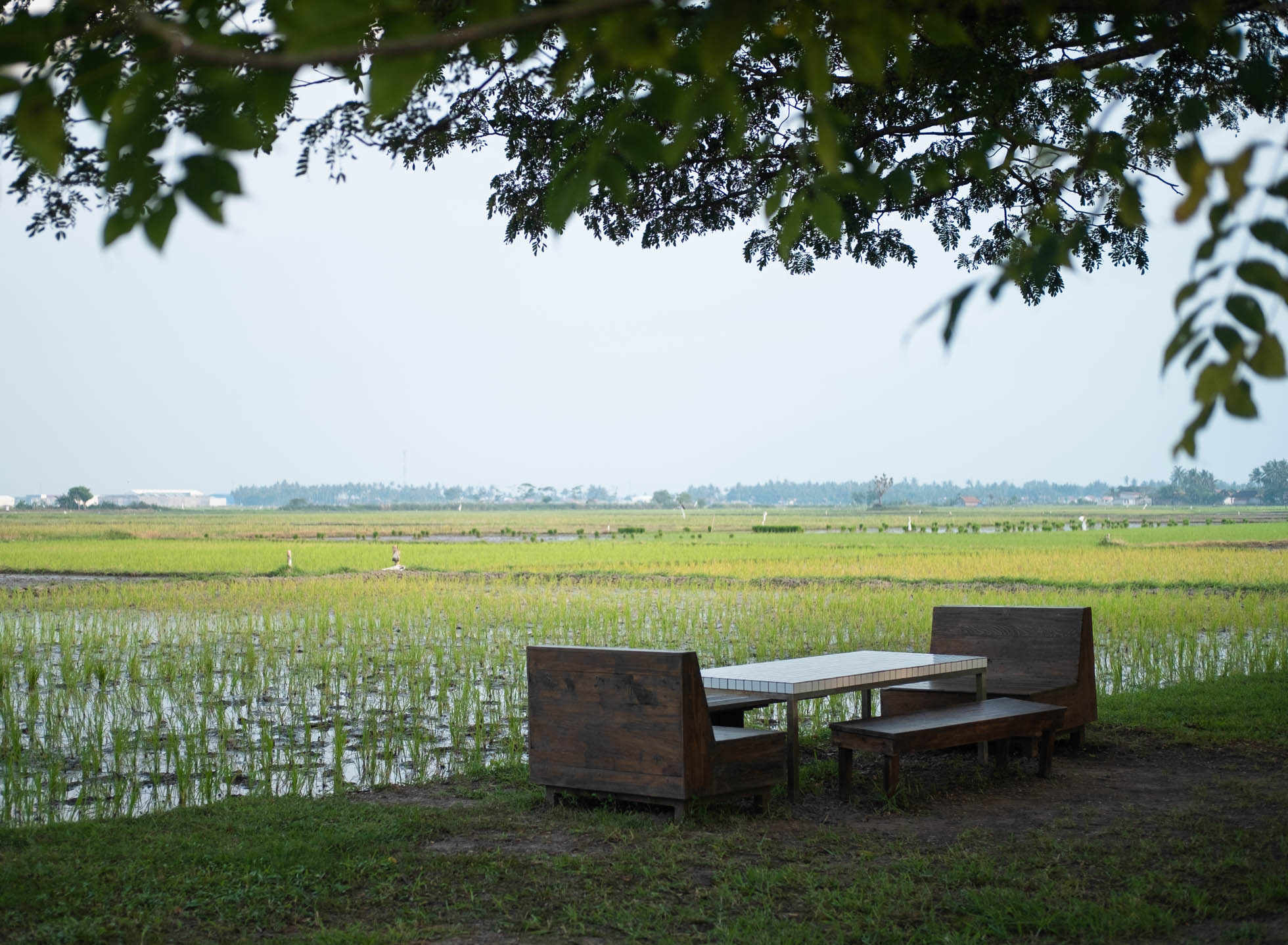 Manual Excursion: Padi-Padi - Manual Jakarta