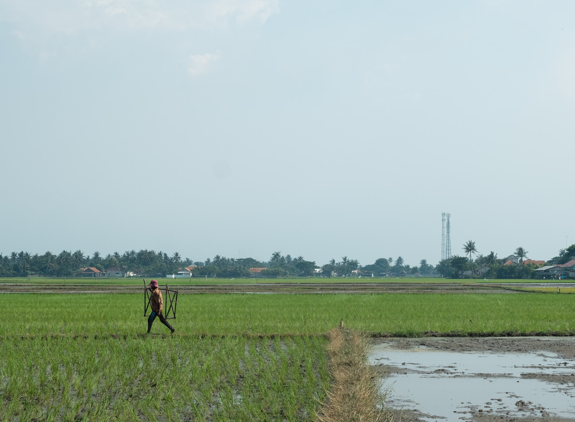 Manual Excursion: Padi-Padi - Manual Jakarta