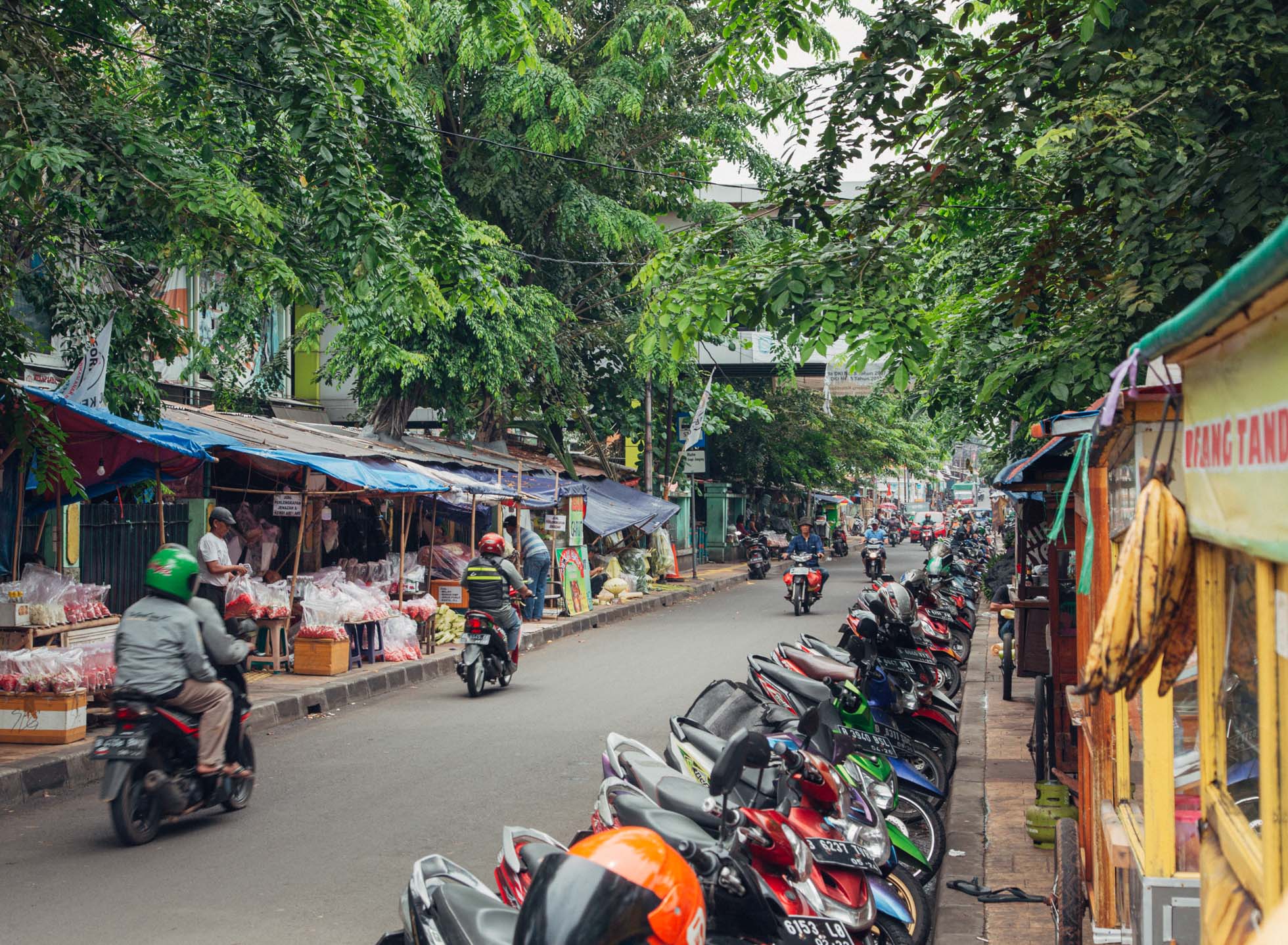 Rawa Belong: The Flower Market That Never Sleeps - Manual Jakarta