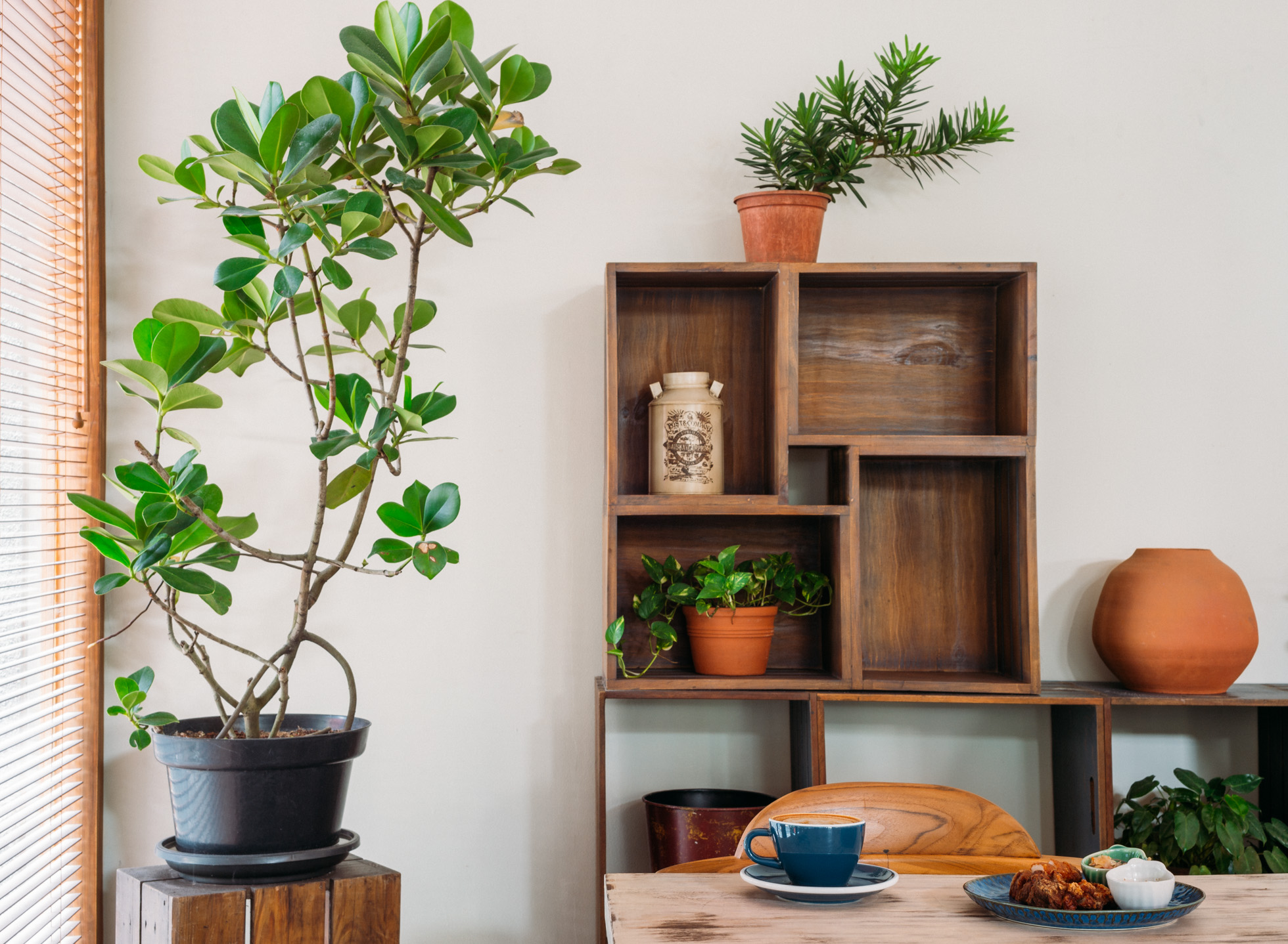 Ombé Kofie Lands in Senopati - Manual Jakarta