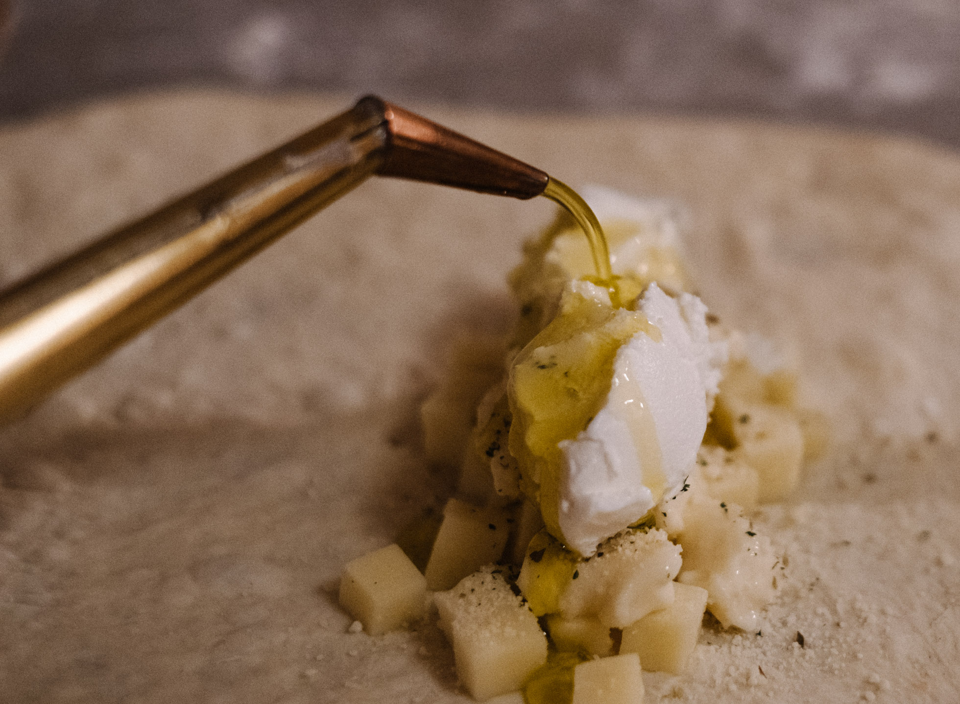 The Gentle Zapoli - Manual Jakarta