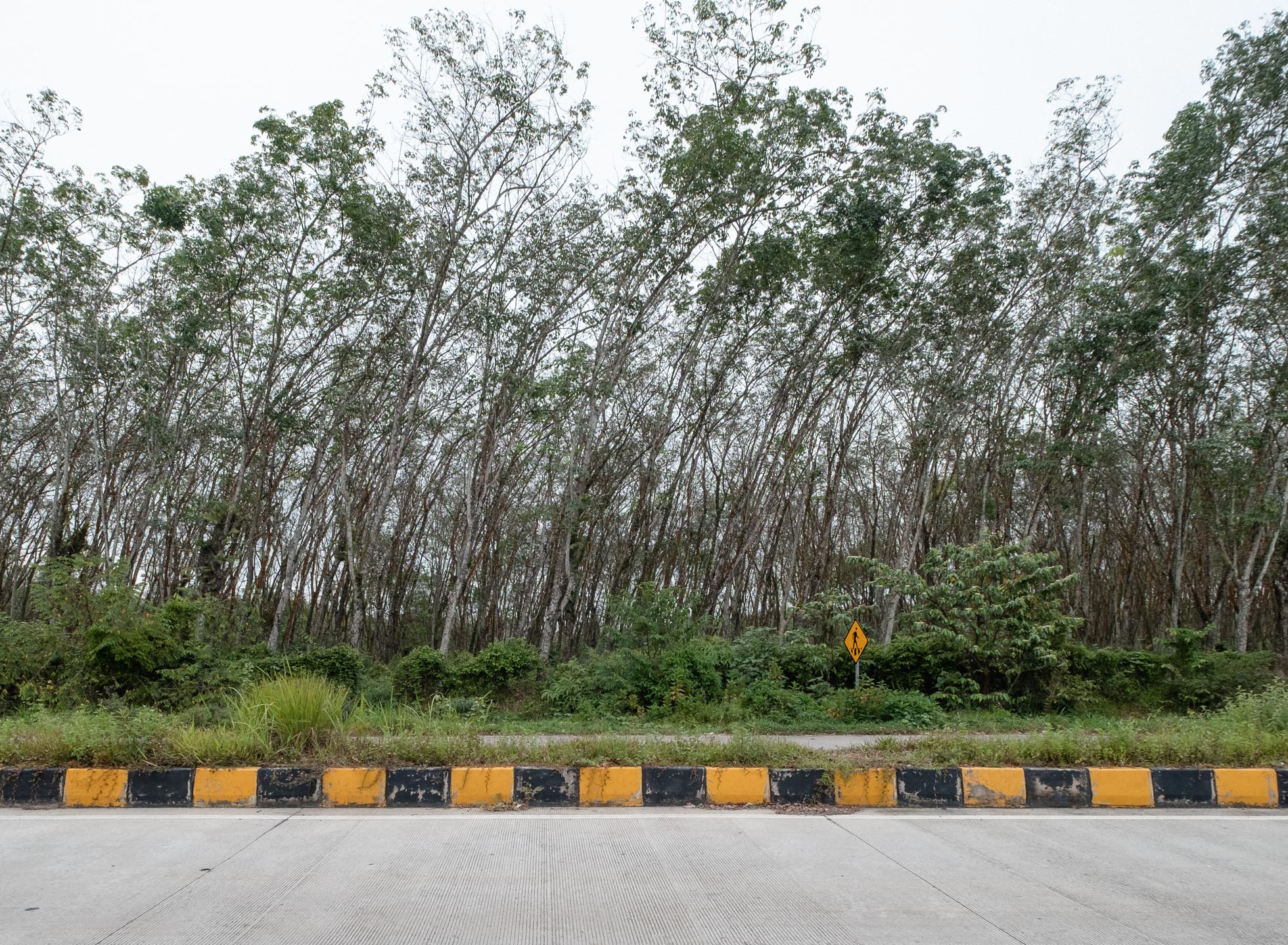 Menuju Tubaba: A Blueprint of a Future City in the Making - Manual Jakarta