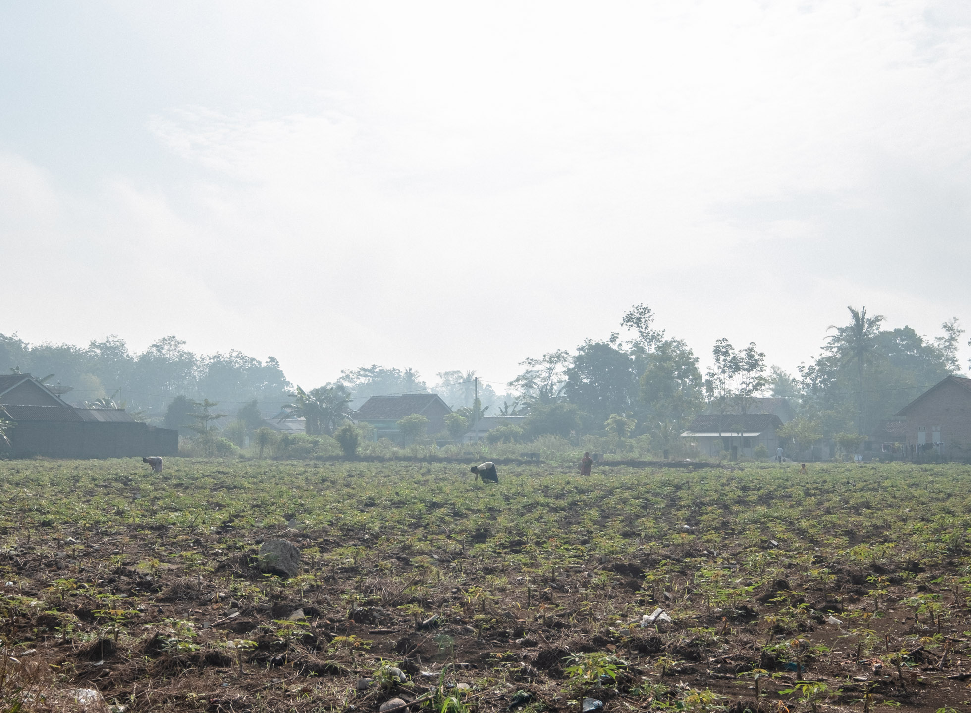 Menuju Tubaba: A Blueprint of a Future City in the Making - Manual Jakarta