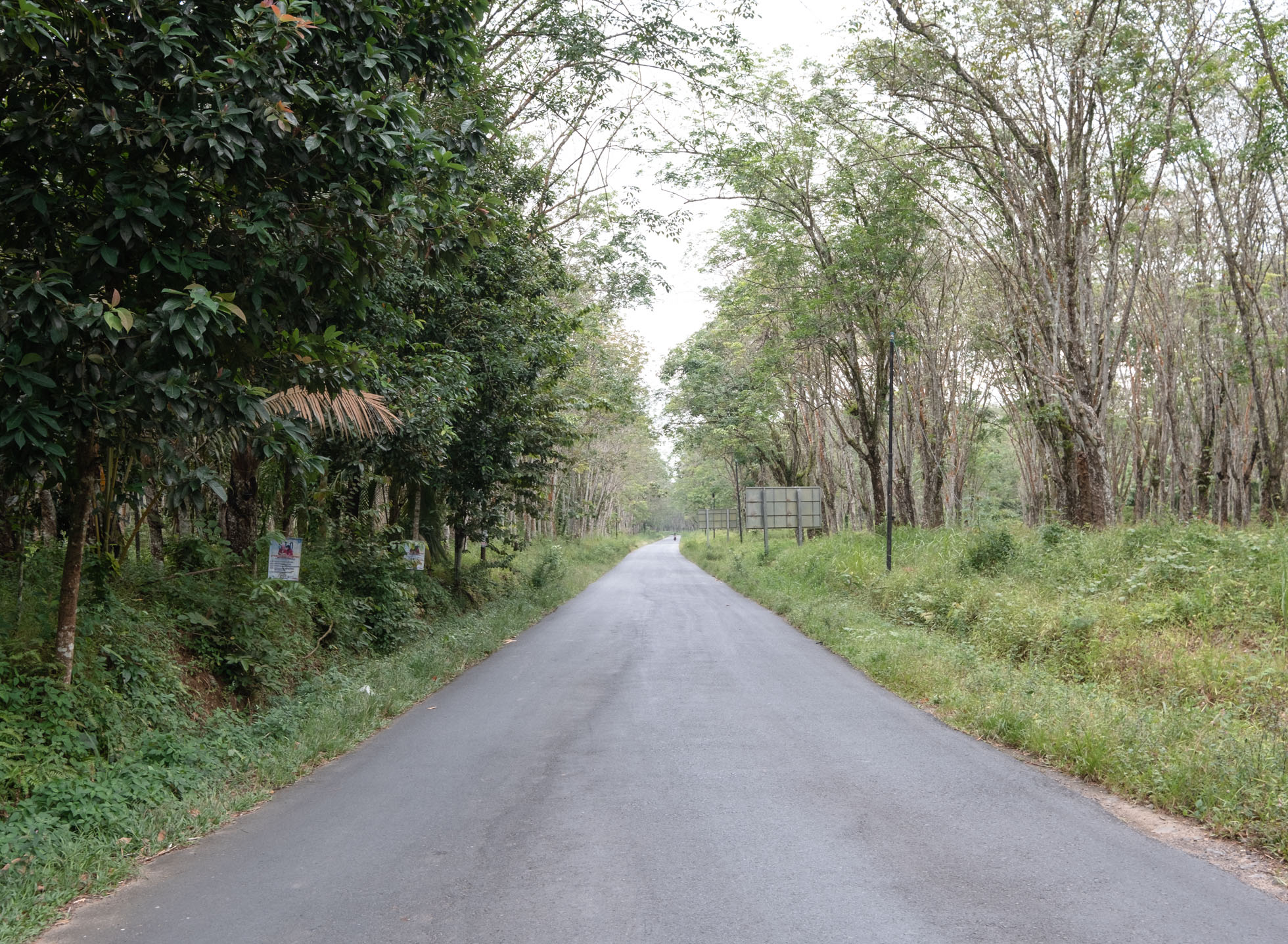 Menuju Tubaba: A Blueprint of a Future City in the Making - Manual Jakarta