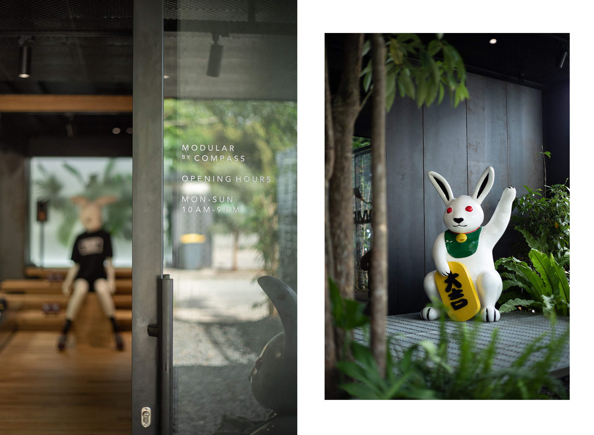 Compass® and Fxxking Rabbits Grab Attention with #FXXKINGCOMPASS "Year ...