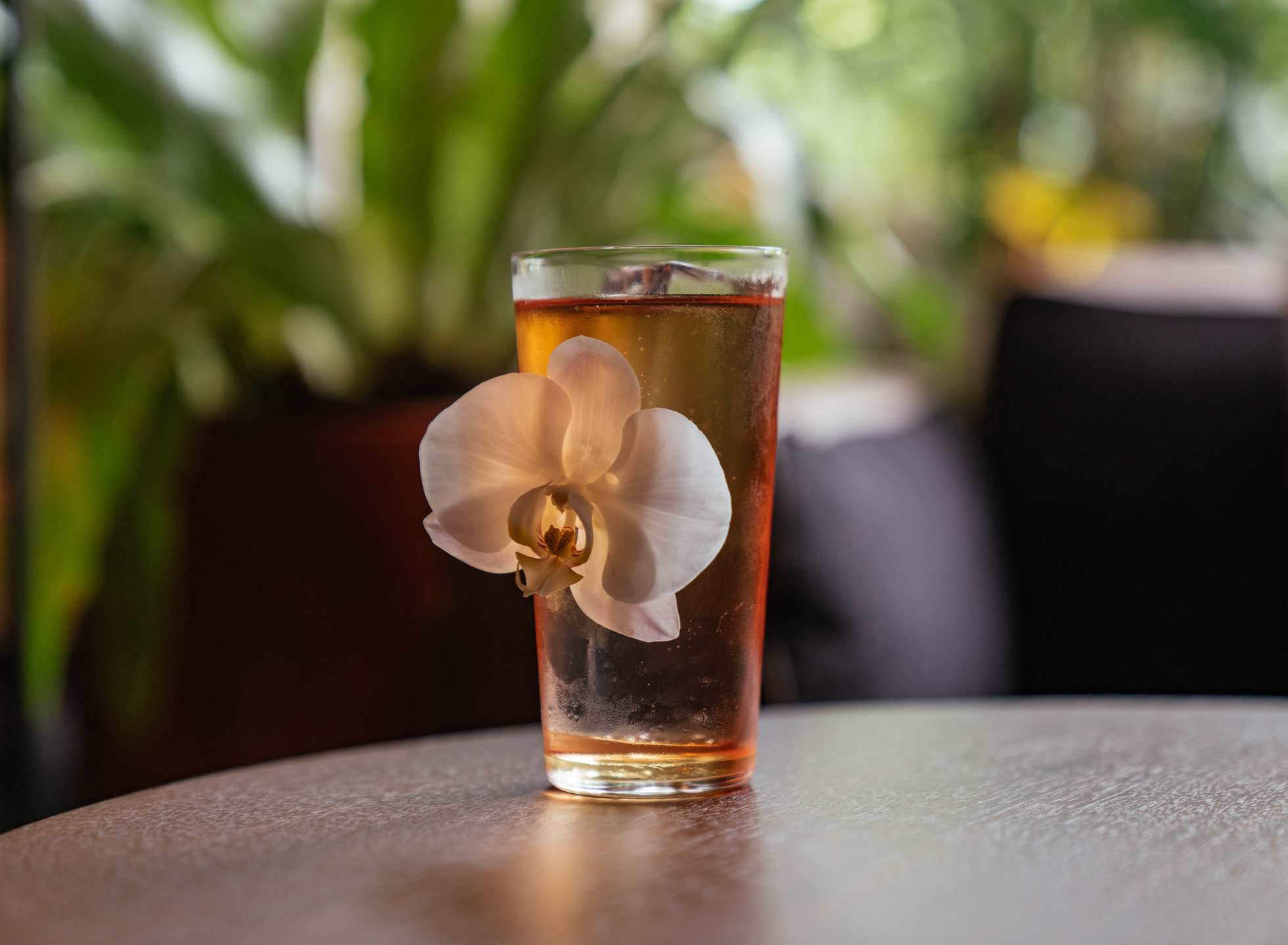 Inside the Box of Shikaku and Bar Kotak - Manual Jakarta