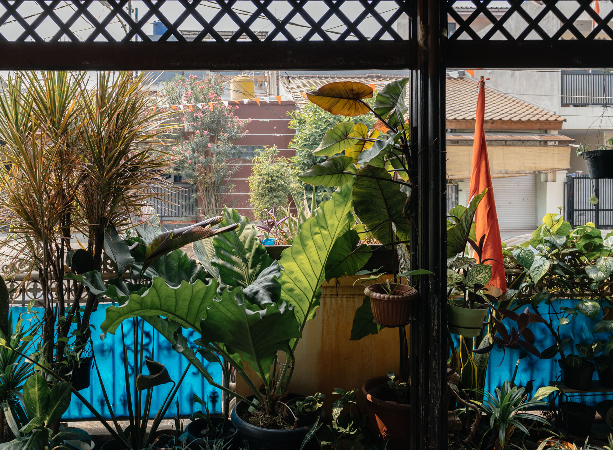 Toko Kopi Tjaraka - Manual Jakarta