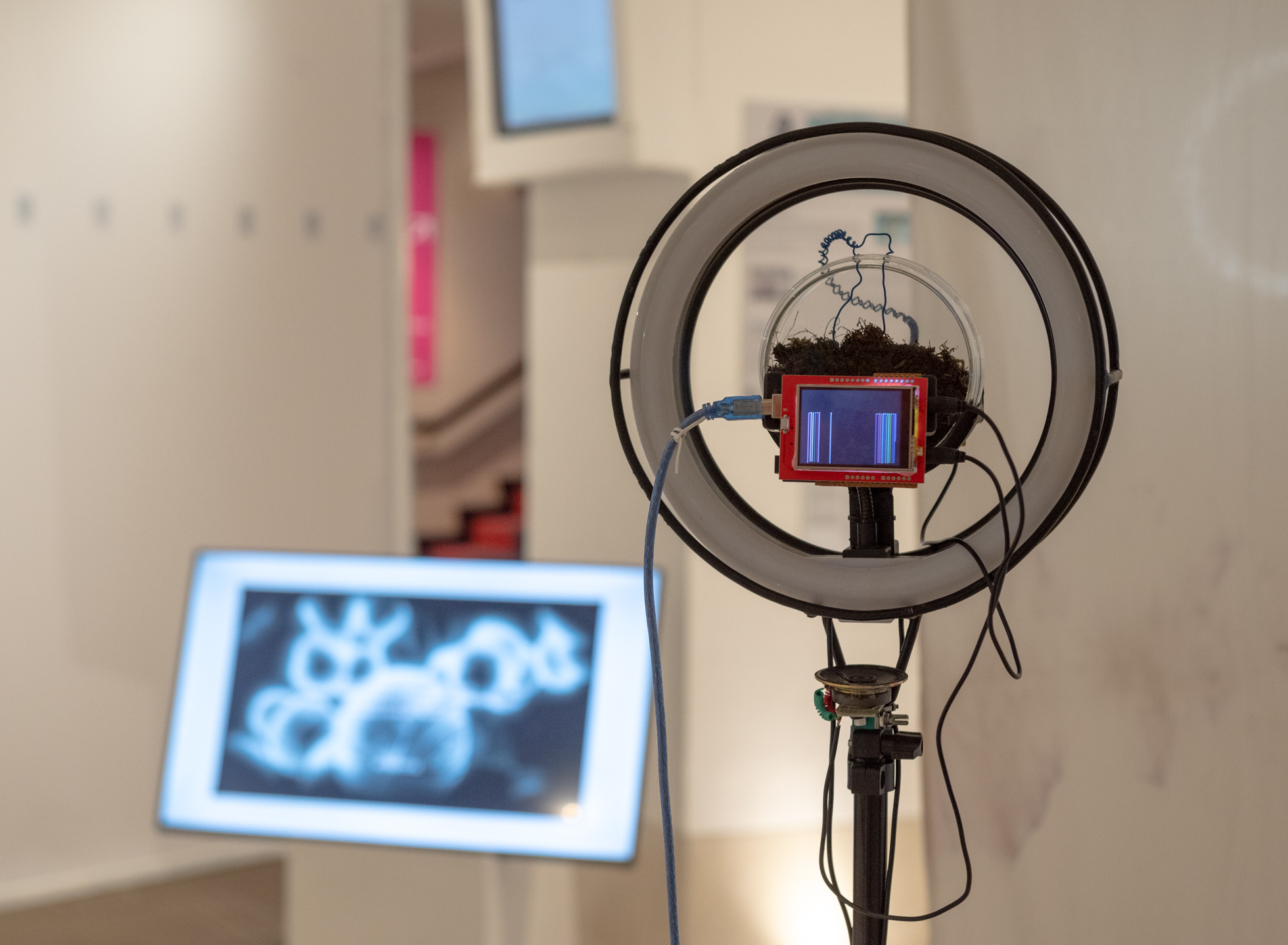 Exploring Emotion at ICAD 13: Feel Good Lab - Manual Jakarta