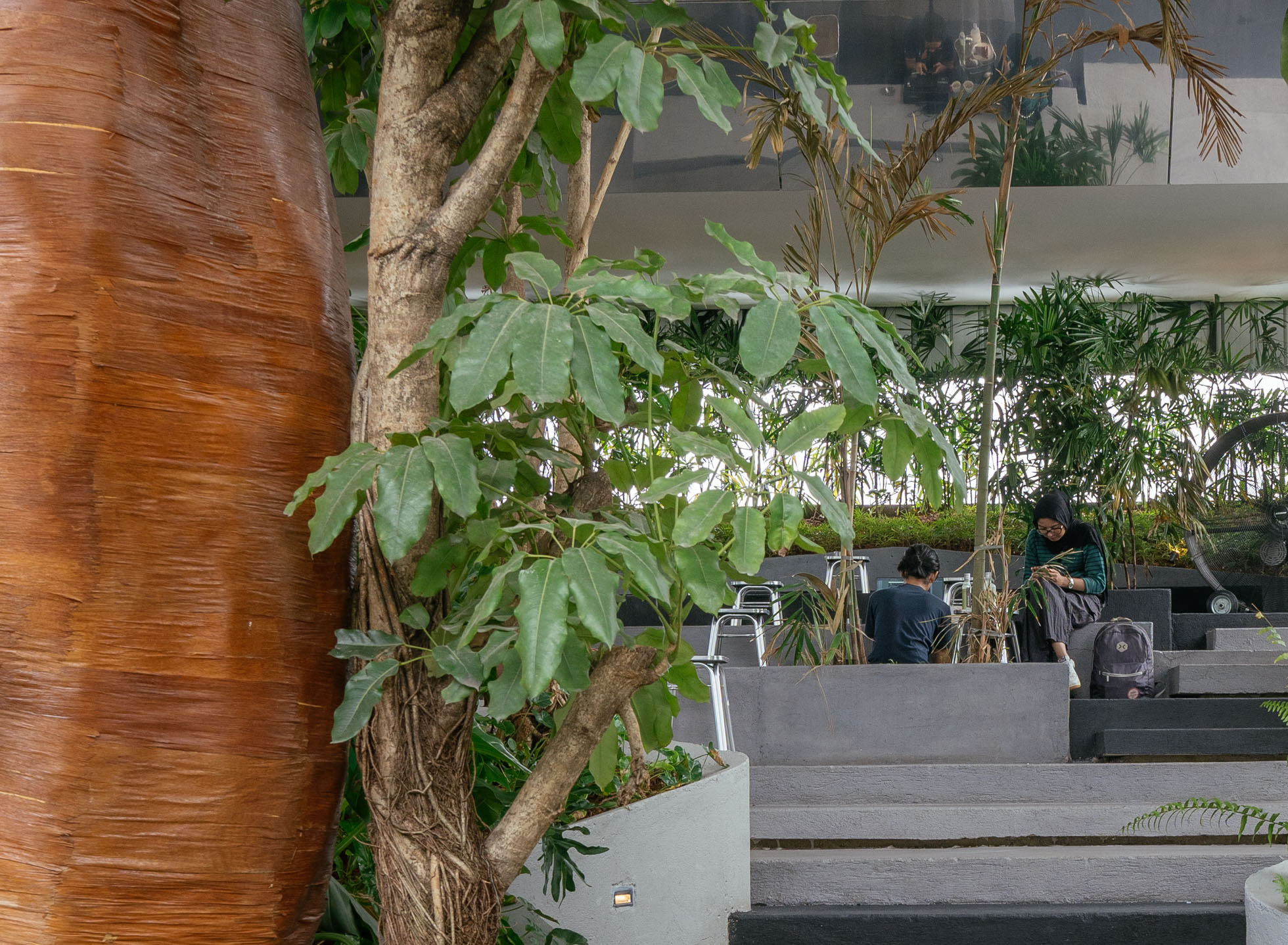 Through the Frame of TANATAP Gallery Matraman - Manual Jakarta