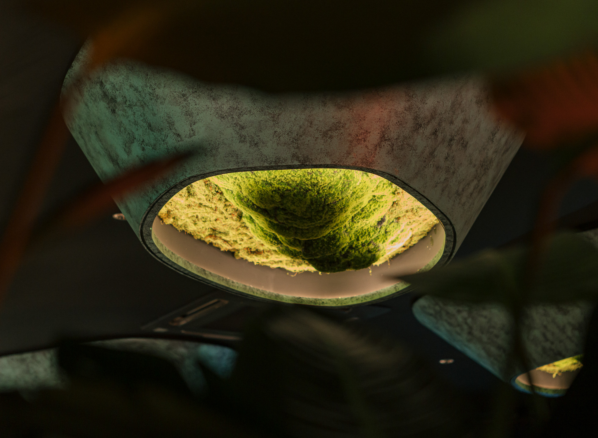 CONGO - Manual Jakarta