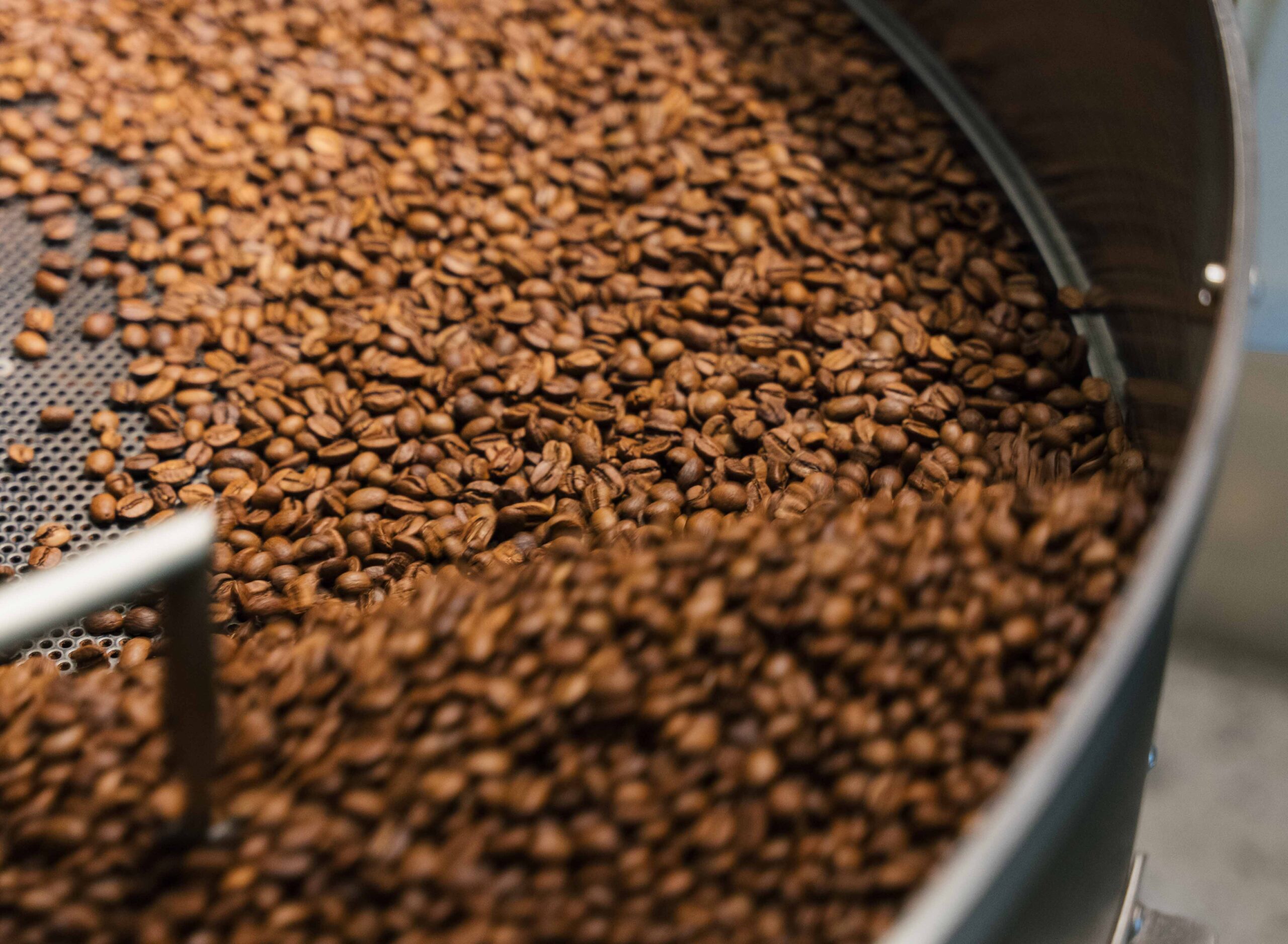 At Instinct Roastery, Being Present with a Cuppa - Manual Jakarta