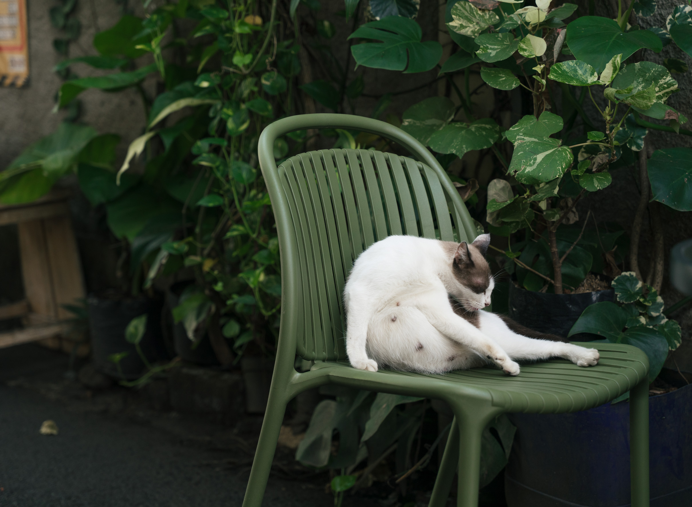 Membumi Kopi - Manual Jakarta