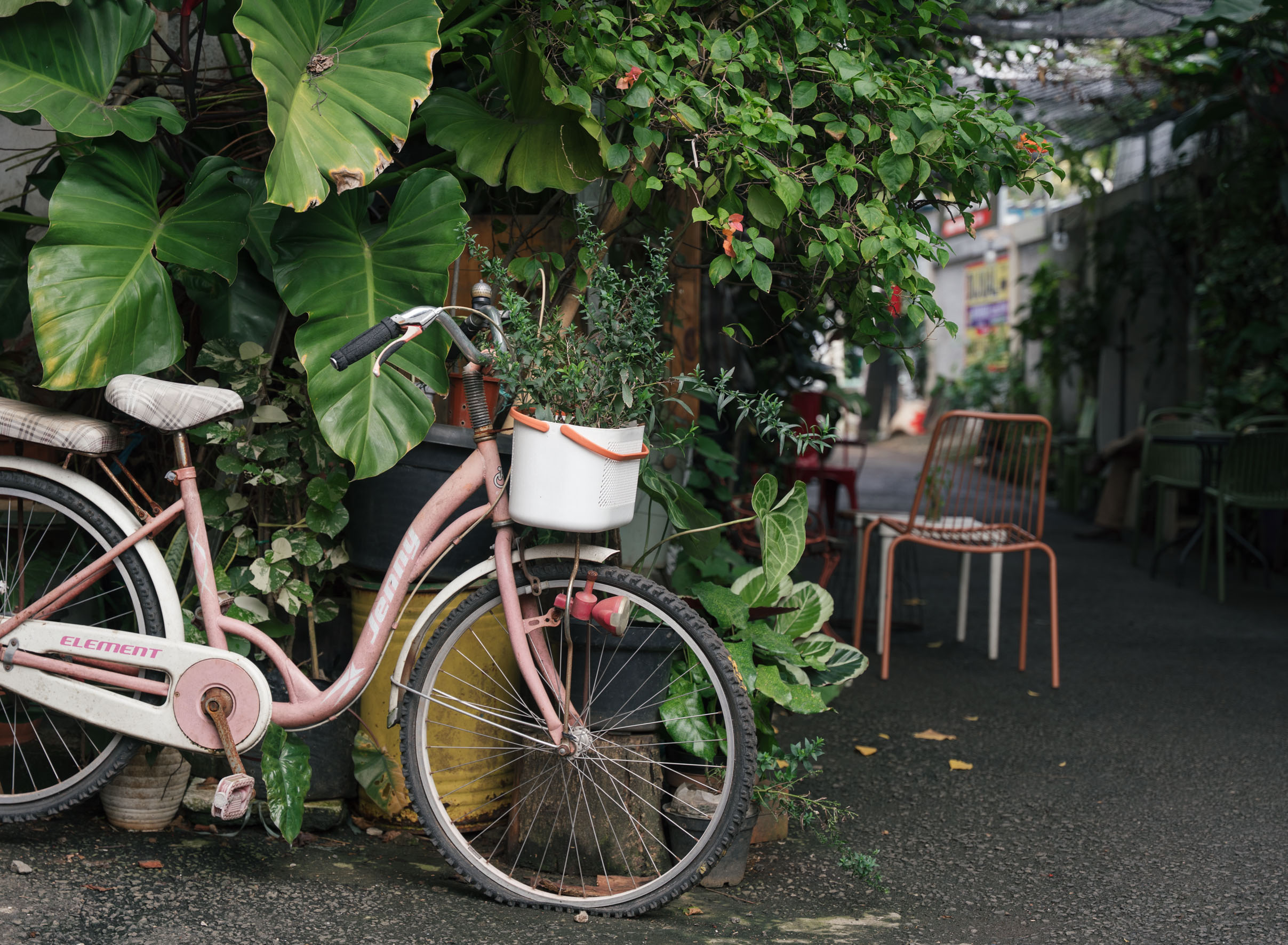 In a Quiet Alley, There's Membumi Kopi - Manual Jakarta